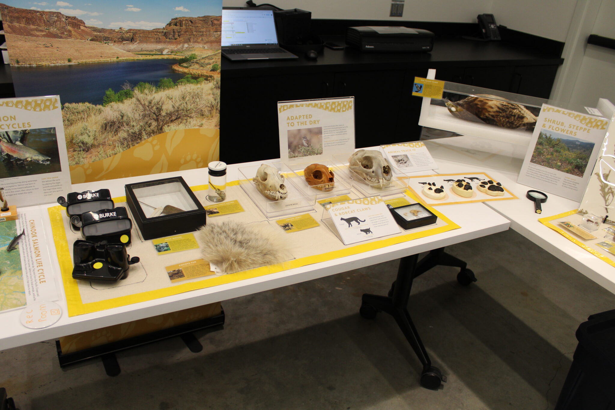 Burke Museum brings prehistoric adventure to Lopez Island - Lopez ...